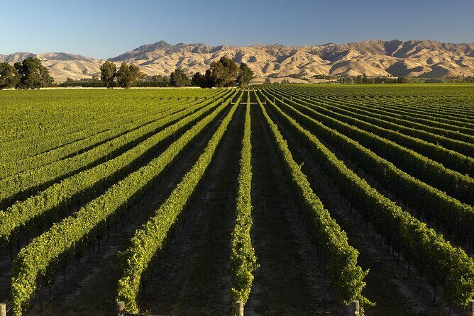 Marlborough Afternoon Wine Tour with Tastings - The Itinerary: A Thoughtfully Planned Afternoon