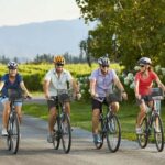 Marlborough: Full-Day Self-Guided Biking Wine Tour - Convenience and Comfort