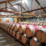 Marlborough: Full-Day Wine Tour - What You’ll Love About This Tour