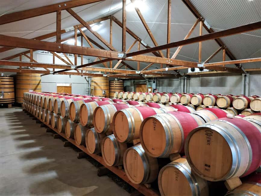 Marlborough: Full-Day Wine Tour - What You’ll Love About This Tour