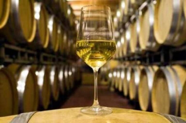 Marlborough Full Day Wine Tour - Detailed Breakdown of the Itinerary