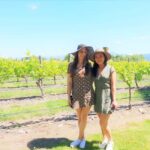 Marlborough: Full Day "Winemaker's Tour" - Who Should Consider This Tour?