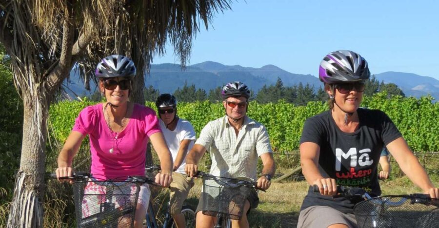 Marlborough: Half Guided and Half Self-Guided Bike Wine Tour - Itinerary Breakdown: What You Can Expect