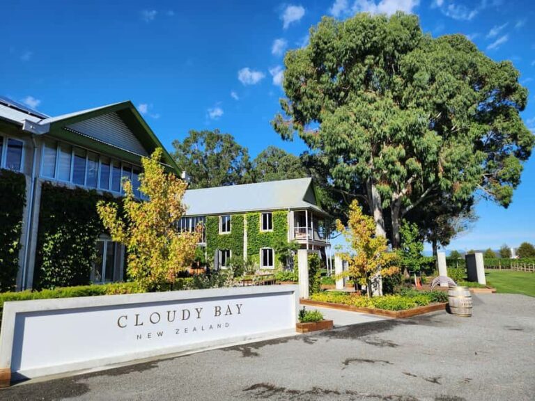 Marlborough Private Classic Wine Tour - Who Should Consider This Tour?