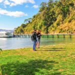 Marlborough Sounds and Ship Cove Cruise from Picton - Navigating Queen Charlotte Sound: The Journey