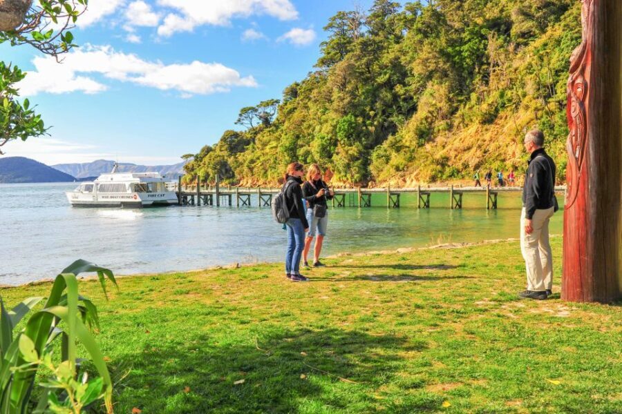 Marlborough Sounds and Ship Cove Cruise from Picton - Navigating Queen Charlotte Sound: The Journey