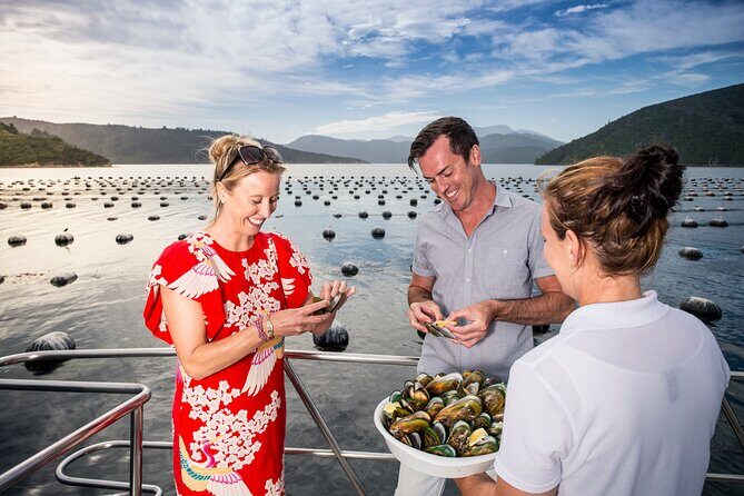Marlborough Sounds Greenshell Mussel Tasting Cruise - Final Thoughts