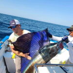 Marlin fishing in guayabitos - What to Expect During Your Fishing Adventure