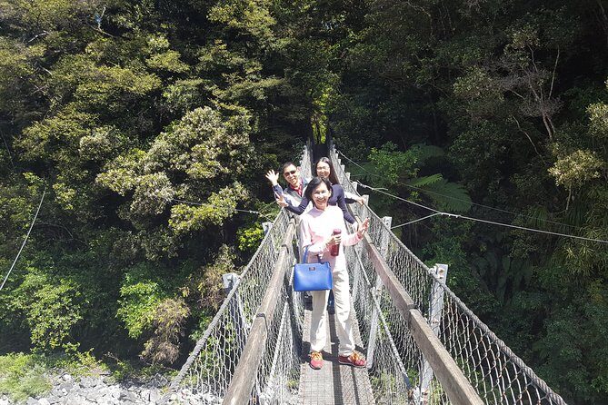 Martinborough Wine and Wild Coast Tour from Wellington - Breaking Down the Itinerary: What to Expect at Each Stop
