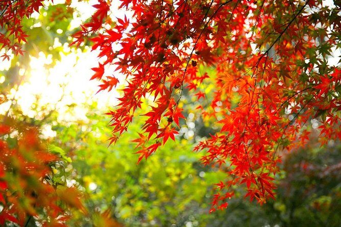 Marvellous Huanghuacheng Great Wall Sunset Layover Tour from Beijing Airport - The Experience: What You Can Expect