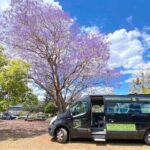 Mary Valley Tour with Mary Valley Rattler, Lunch and Kenilworth - What’s Included and How It Adds Value