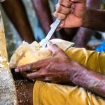 Mask Making Tour from Ambalangoda - Practical Aspects That Matter