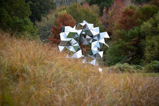 Matakana Art & Vineyard Experience incl. Lunch & Wine Tasting Tour From Auckland - Exploring the Itinerary in Detail