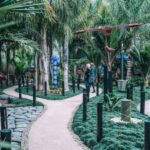 Matakana Art & Wine Village Private Tour - Are There Any Drawbacks?