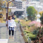 Matsuyama Private Customizable Half Day Tour - Final Thoughts
