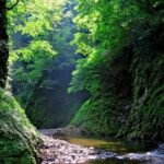 Matt Canyon River Trekking Nishiwaga Town, Iwate Prefecture - Who Will Love This Tour?
