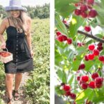Mattituck Bike Wine Country and Fruit Orchard Tour - The Sum Up: Who Will Love This Tour?