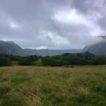 Maui: East Side Hiking Tour - What to Expect During the Tour