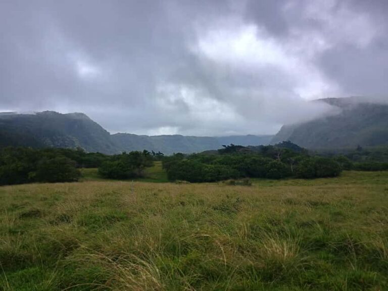 Maui: East Side Hiking Tour - What to Expect During the Tour