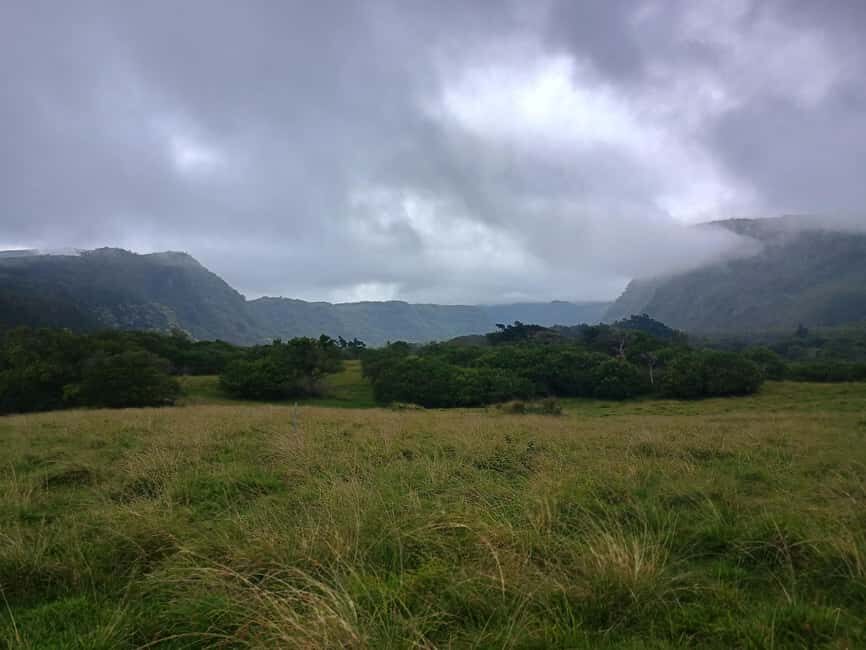 Maui: East Side Hiking Tour - What to Expect During the Tour