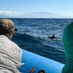 Maui: Eco-Raft Dolphin Watch Tour with Snacks - Why You’ll Love the Experience