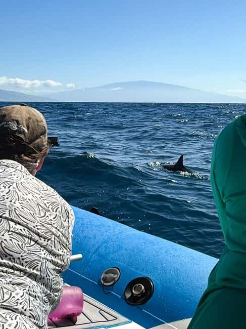 Maui: Eco-Raft Dolphin Watch Tour with Snacks - Why You’ll Love the Experience
