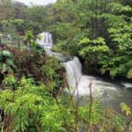 Maui: Haleakal National Park and Upcountry Sunset Tour - Authentic Feedback from Participants