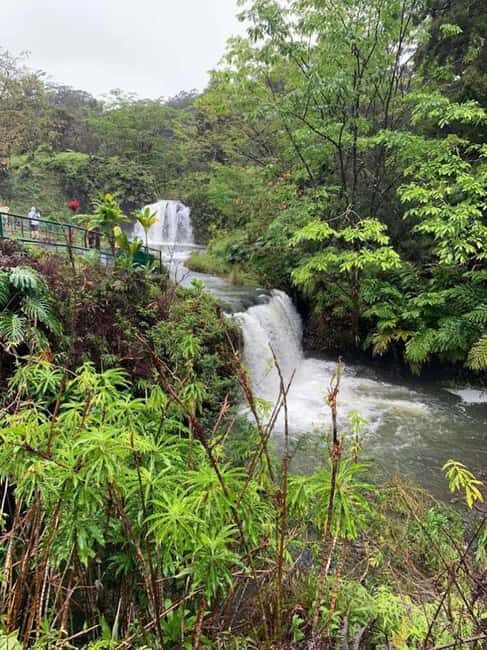 Maui: Haleakal National Park and Upcountry Sunset Tour - Authentic Feedback from Participants
