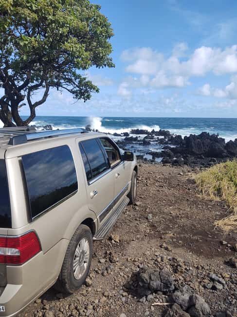 Maui: Halfway to Hana Black Sand Beach & Turtles Tour - Who Should Consider This Tour?