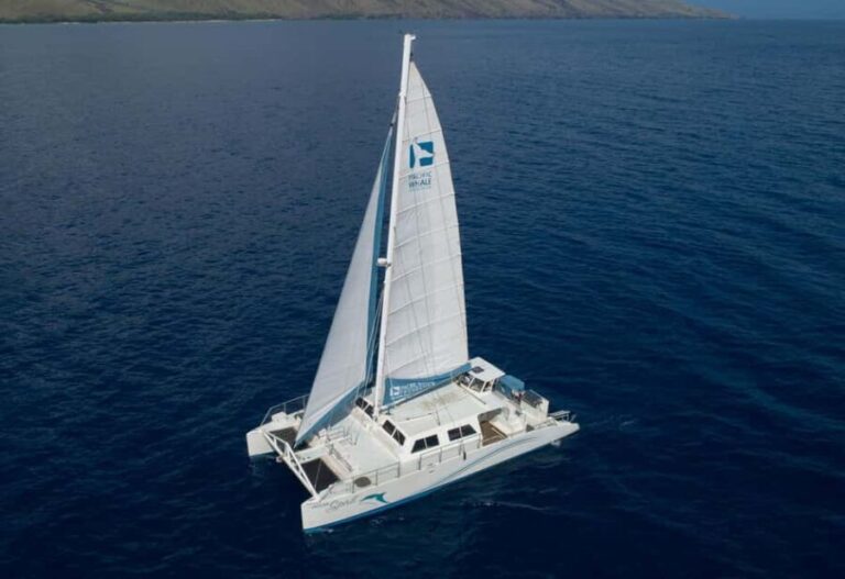 Maui: Snorkel and Sunset Sail with Water Slide - How This Tour Compares to Others in Maui