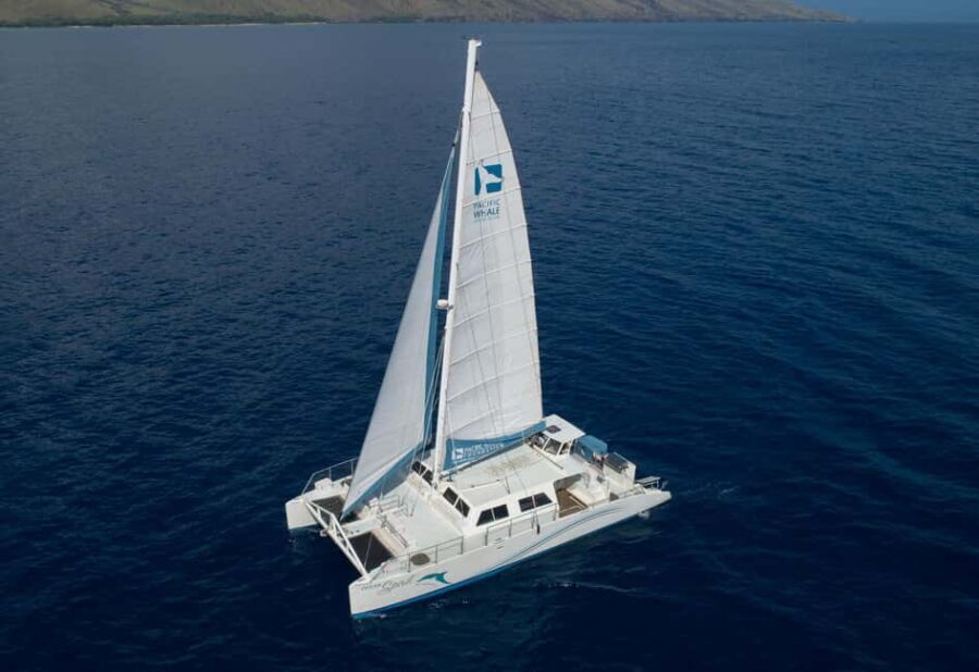 Maui: Snorkel and Sunset Sail with Water Slide - How This Tour Compares to Others in Maui