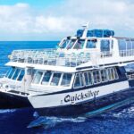 Maui Snorkeling Boat Tour to Turtle Town Aboard Quicksilver - Overall Value and Experience