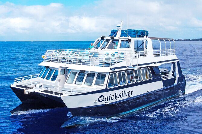 Maui Snorkeling Boat Tour to Turtle Town Aboard Quicksilver - Overall Value and Experience