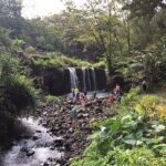 Maui Tour : Road to Hana Day Trip from Lahaina with Pick-up - Summary: Who Should Take This Tour?