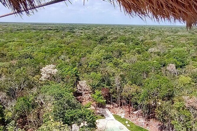 Maya Adrenaline: ATV, Ziplines & Cenote From Playa del Carmen. - The Itinerary: From Treetops to Sacred Cenotes