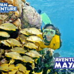 Mayan Adventure - 3 different snorkeling sites in one day! - The Sum Up