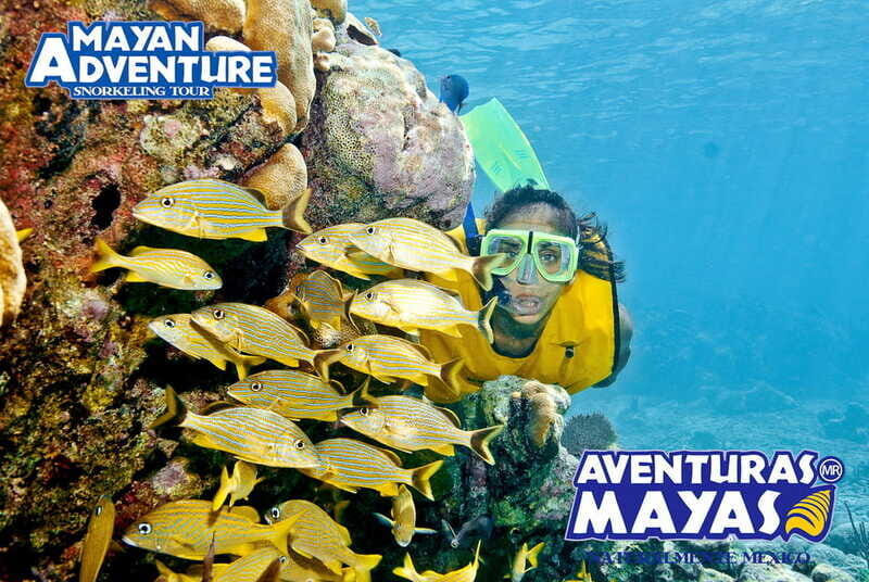 Mayan Adventure - 3 different snorkeling sites in one day! - The Sum Up