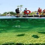 Mayan Adventure from Cancun - The Sum Up: Why Choose the Mayan Adventure?