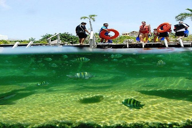 Mayan Adventure from Cancun - The Sum Up: Why Choose the Mayan Adventure?