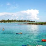 Mayan Adventure Snorkeling Tour from Playa del Carmen or Riviera Maya - Potential Drawbacks