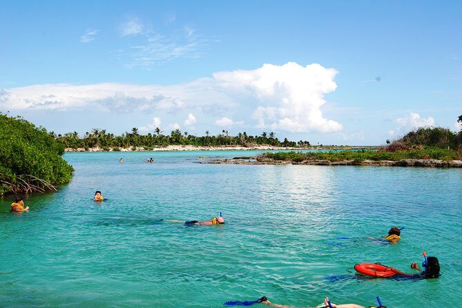 Mayan Adventure Snorkeling Tour from Playa del Carmen or Riviera Maya - Potential Drawbacks
