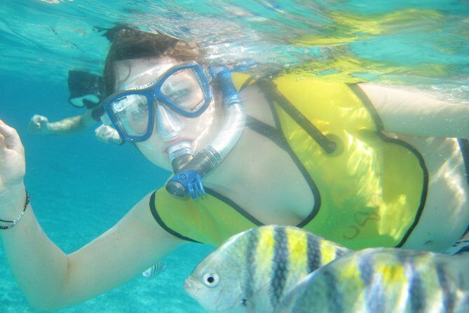 Mayan Flavors & Tequila Tasting + Beach Time - Final Thoughts: Who Should Consider This Tour?