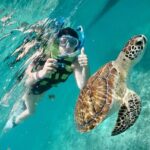 Mayan snorkeling (Akumal-Cenote-Caverna) - What Makes This Tour Stand Out