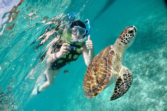 Mayan snorkeling (Akumal-Cenote-Caverna) - What Makes This Tour Stand Out