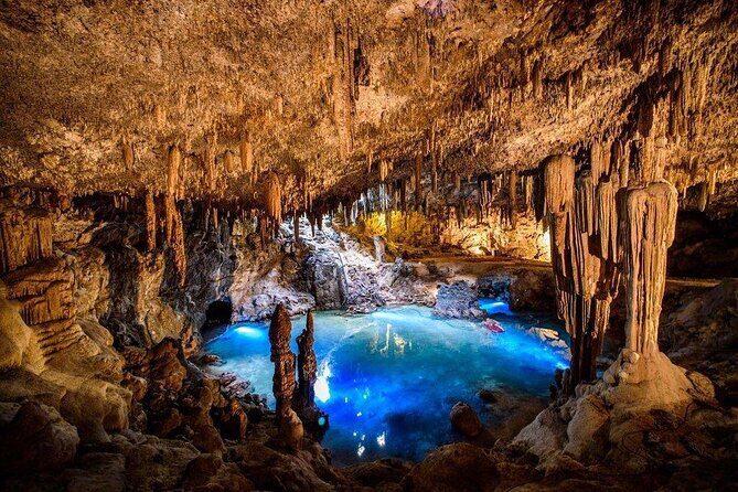 Mayan Underworld Experience (Cenote-Museum) - The Experience’s Highlights and Practical Details