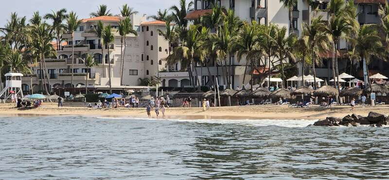 Mazatlan: Sea lions and snorkeling - Who Would Enjoy This Tour?