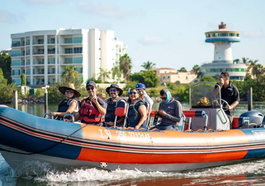 Mazatlán: Whale-Watching Boat Tour with Marine Experts - The Scientific and Conservation Element