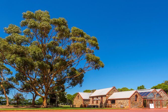 McLaren Vale and Glenelg Wine Tasting and Sightseeing (Half-day Afternoon) - Starting off with a scenic journey