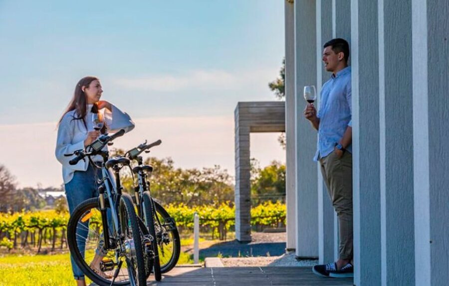 McLaren Vale: E-Bike Rental to Explore the Vineyards - What Makes This E-Bike Tour Stand Out?