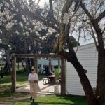 McLaren Vale Full Day Tour - Itinerary Breakdown: What to Expect